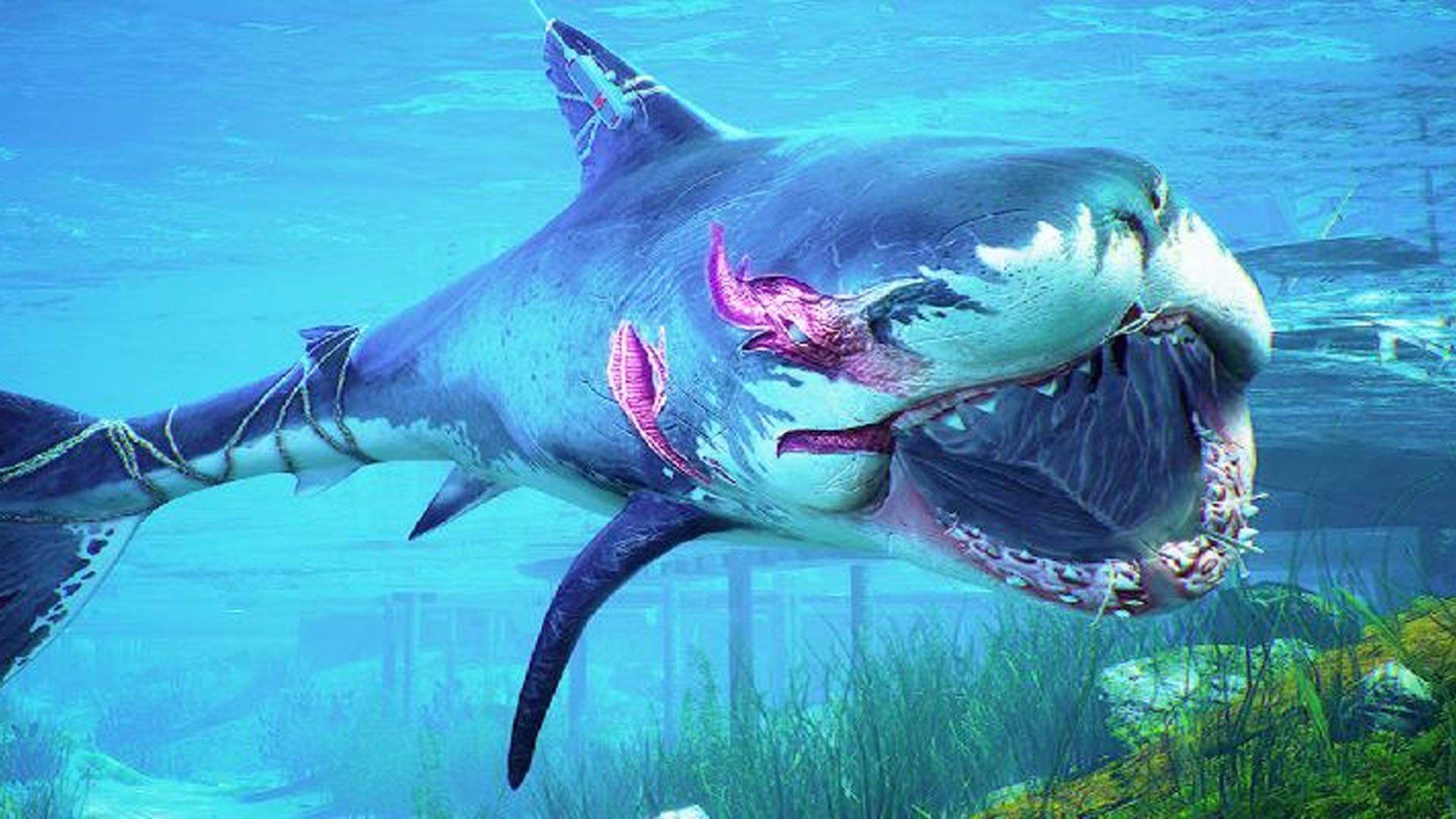 Maneater | Hype Games